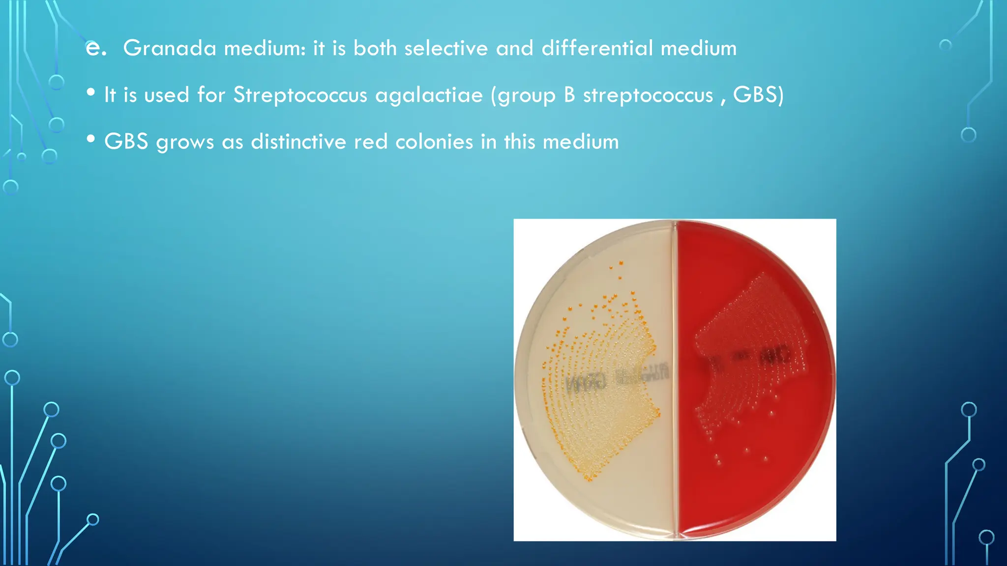 Differential media microbiology ppt.pptx