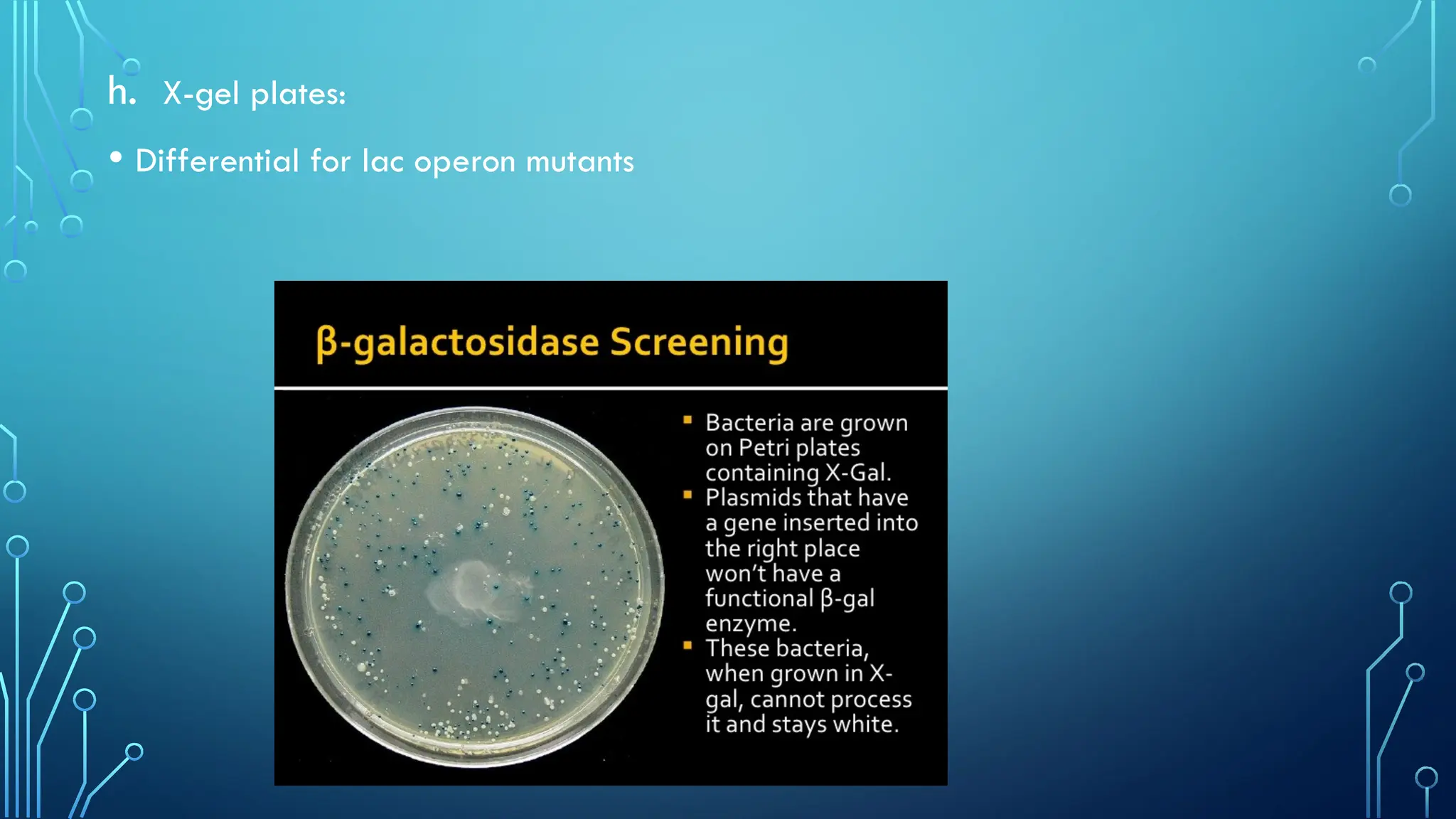 Differential media microbiology ppt.pptx