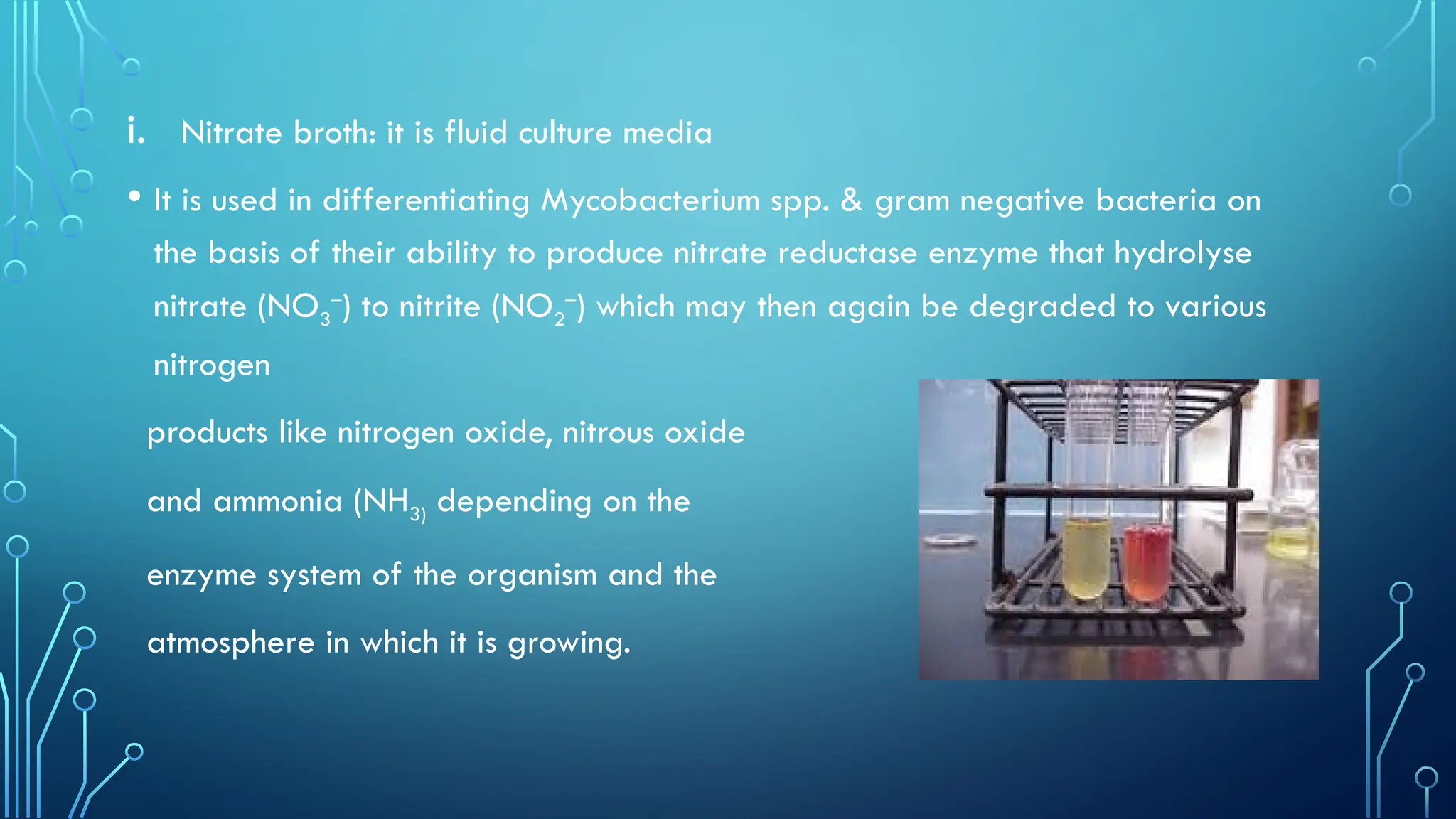 Differential media microbiology ppt.pptx
