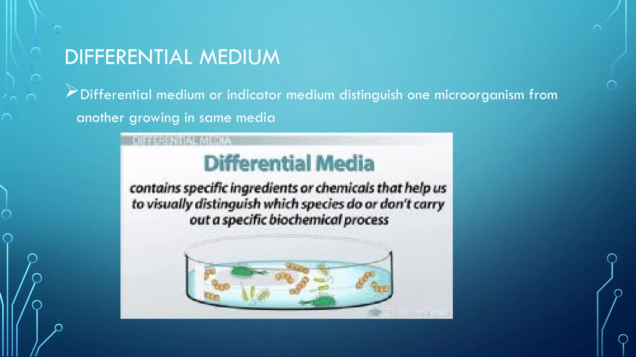 Differential media microbiology ppt.pptx