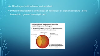 Differential media microbiology ppt.pptx