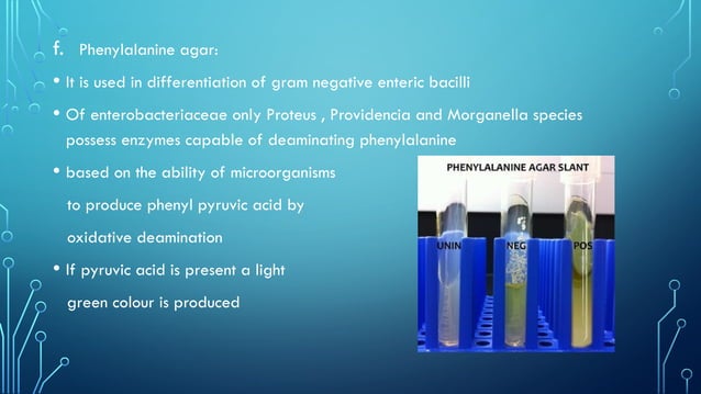 Differential media microbiology ppt.pptx