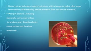 Differential media microbiology ppt.pptx