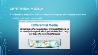 Differential media microbiology ppt.pptx