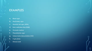 Differential media microbiology ppt.pptx
