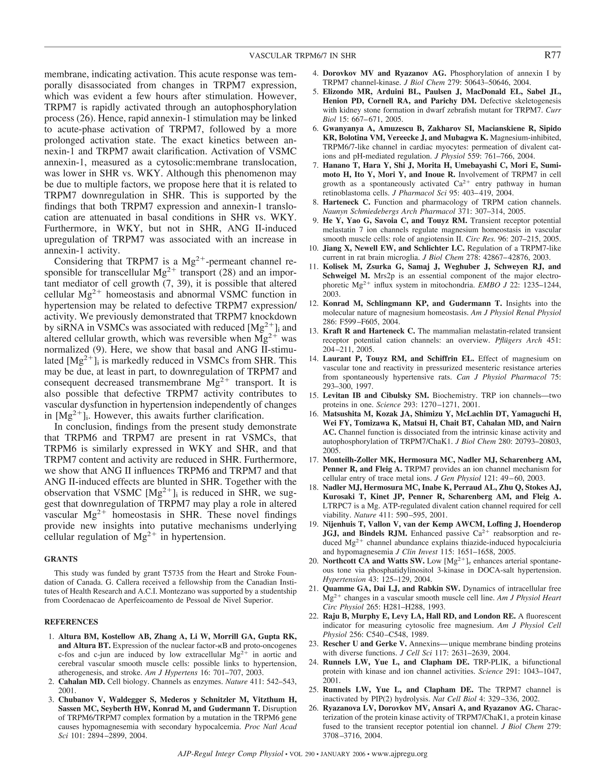 Differential regulation of transient receptor potential melastatin 6 ... Differential regulation of transient receptor potential melastatin 6 ...