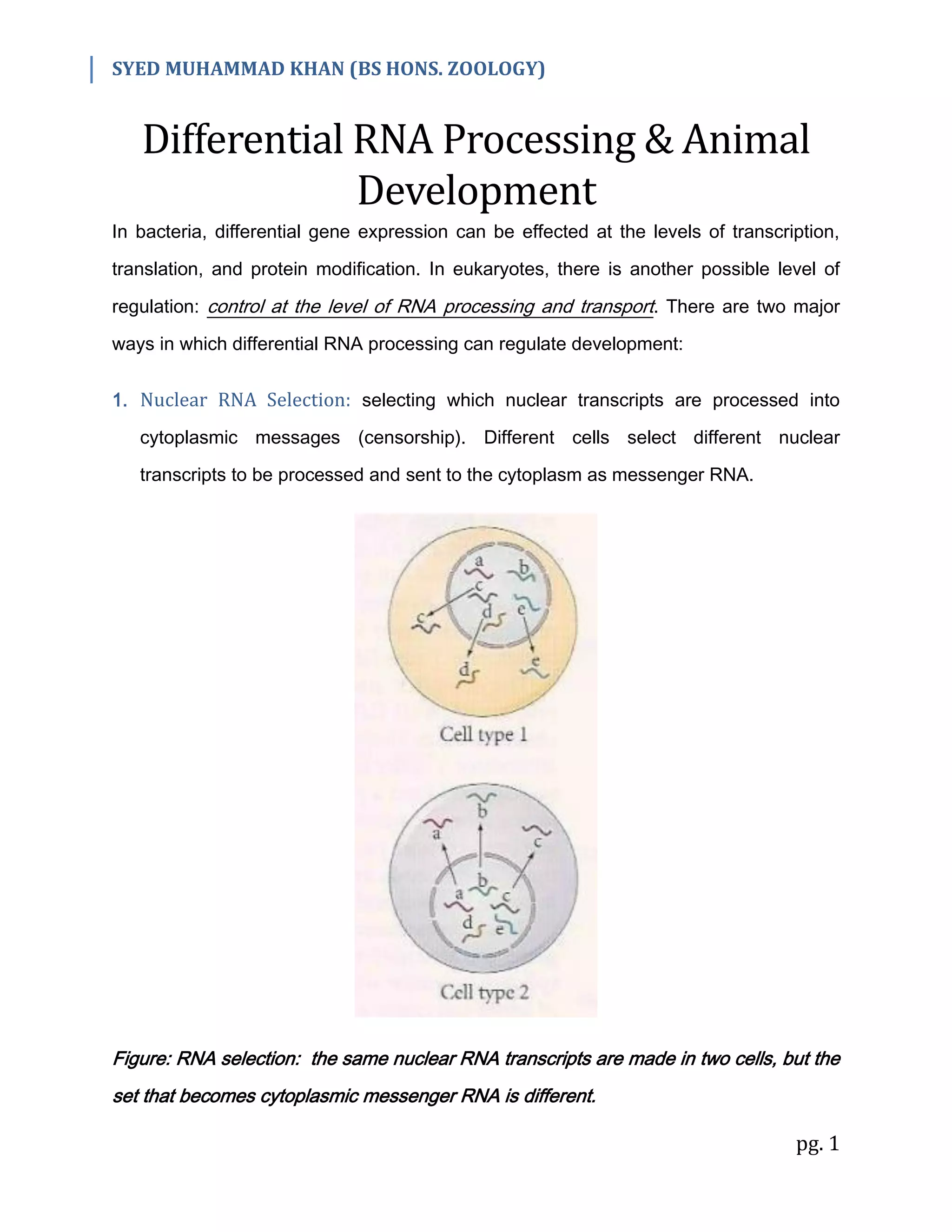 Differential RNA Processing & Animal Development | PDF