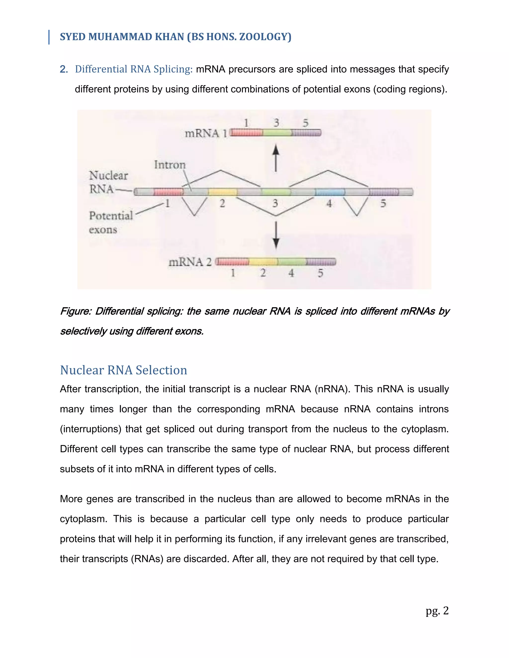 Differential RNA Processing & Animal Development | PDF