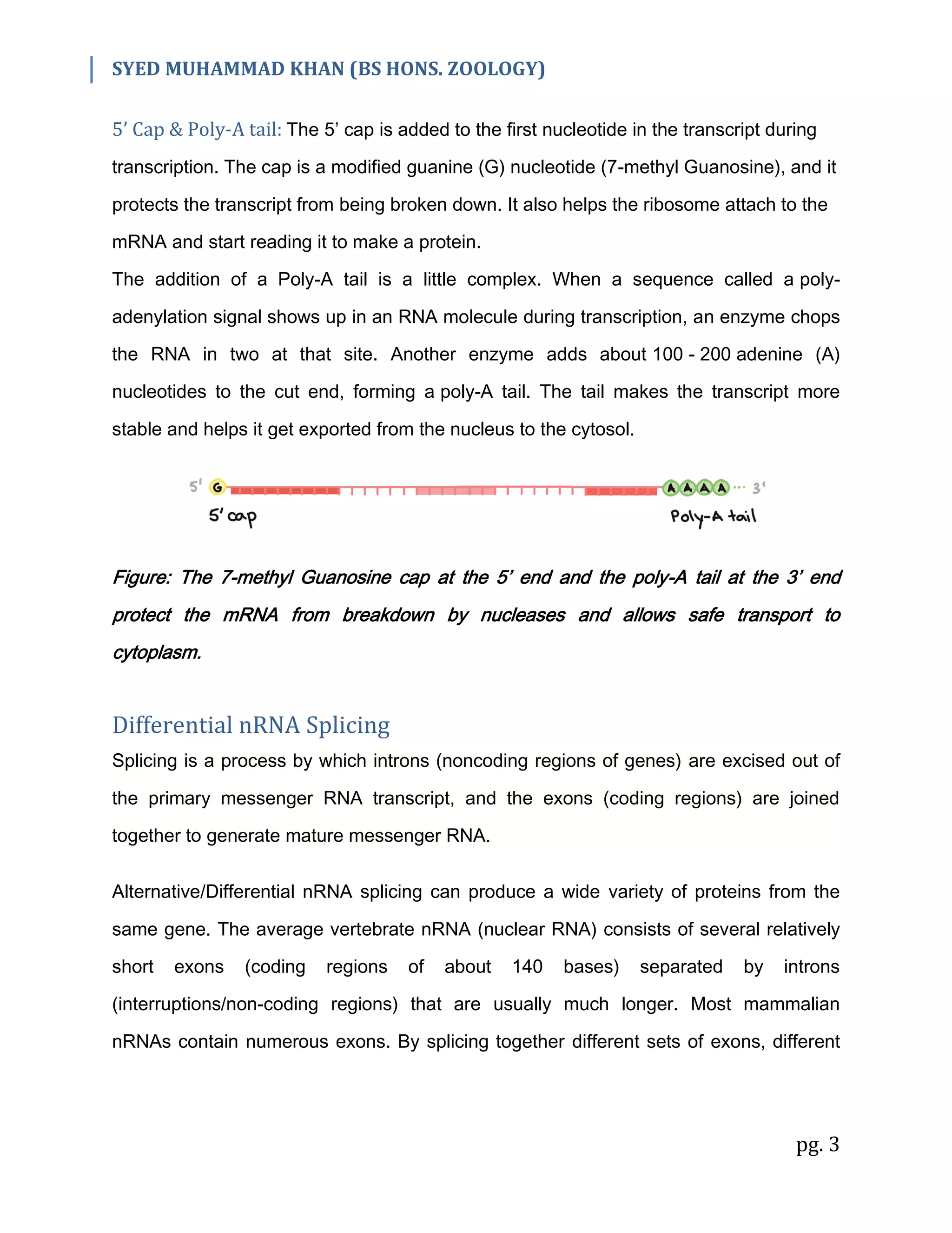Differential RNA Processing & Animal Development | PDF