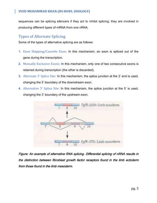 Differential RNA Processing & Animal Development | PDF