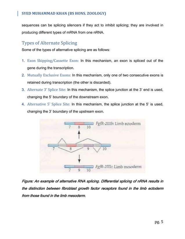 Differential RNA Processing & Animal Development | PDF