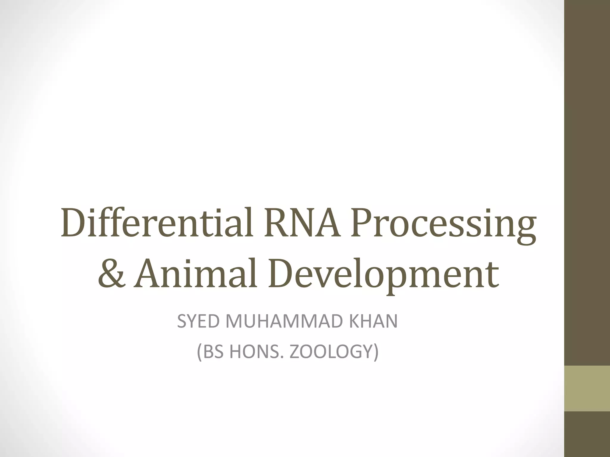 Differential RNA Processing & Animal Development | PDF