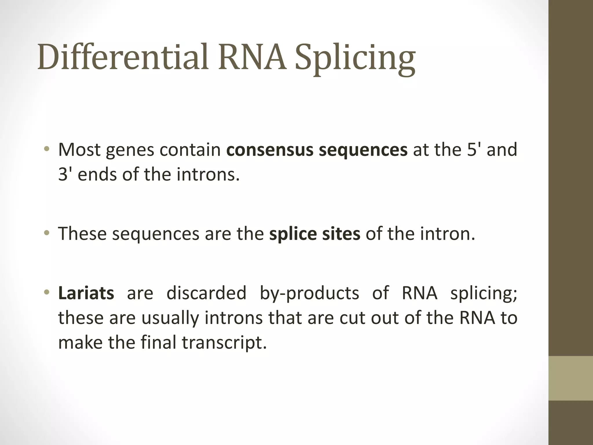 Differential RNA Processing & Animal Development | PDF