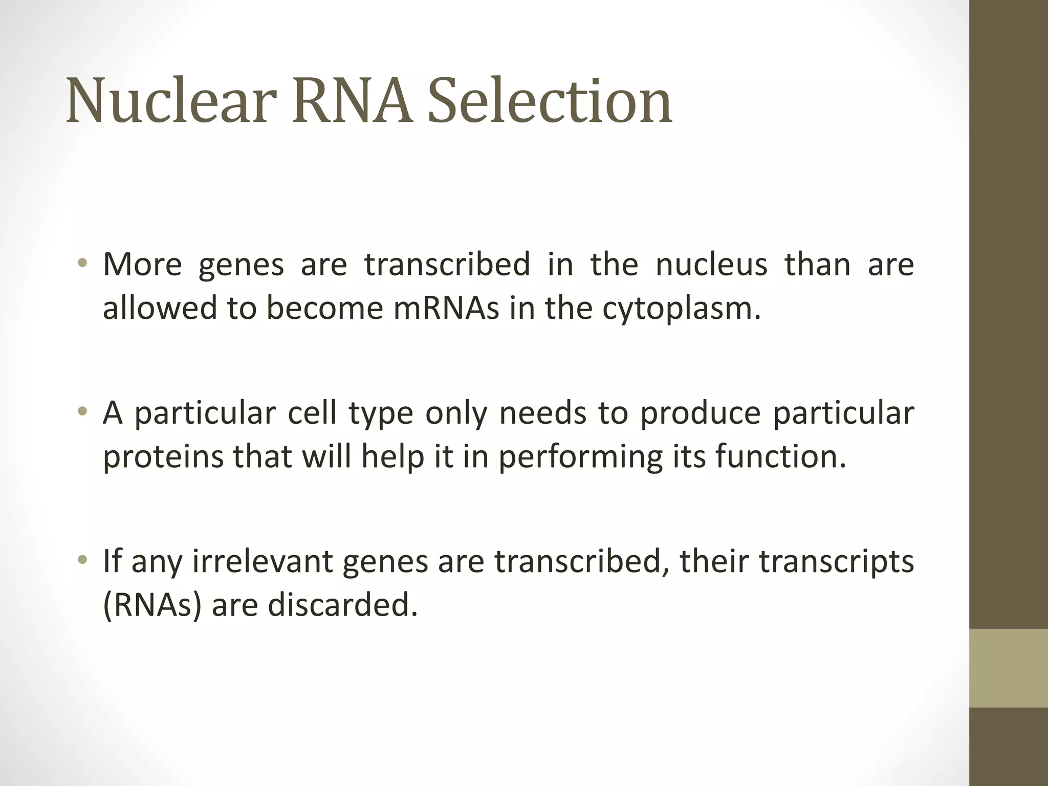 Differential RNA Processing & Animal Development | PDF