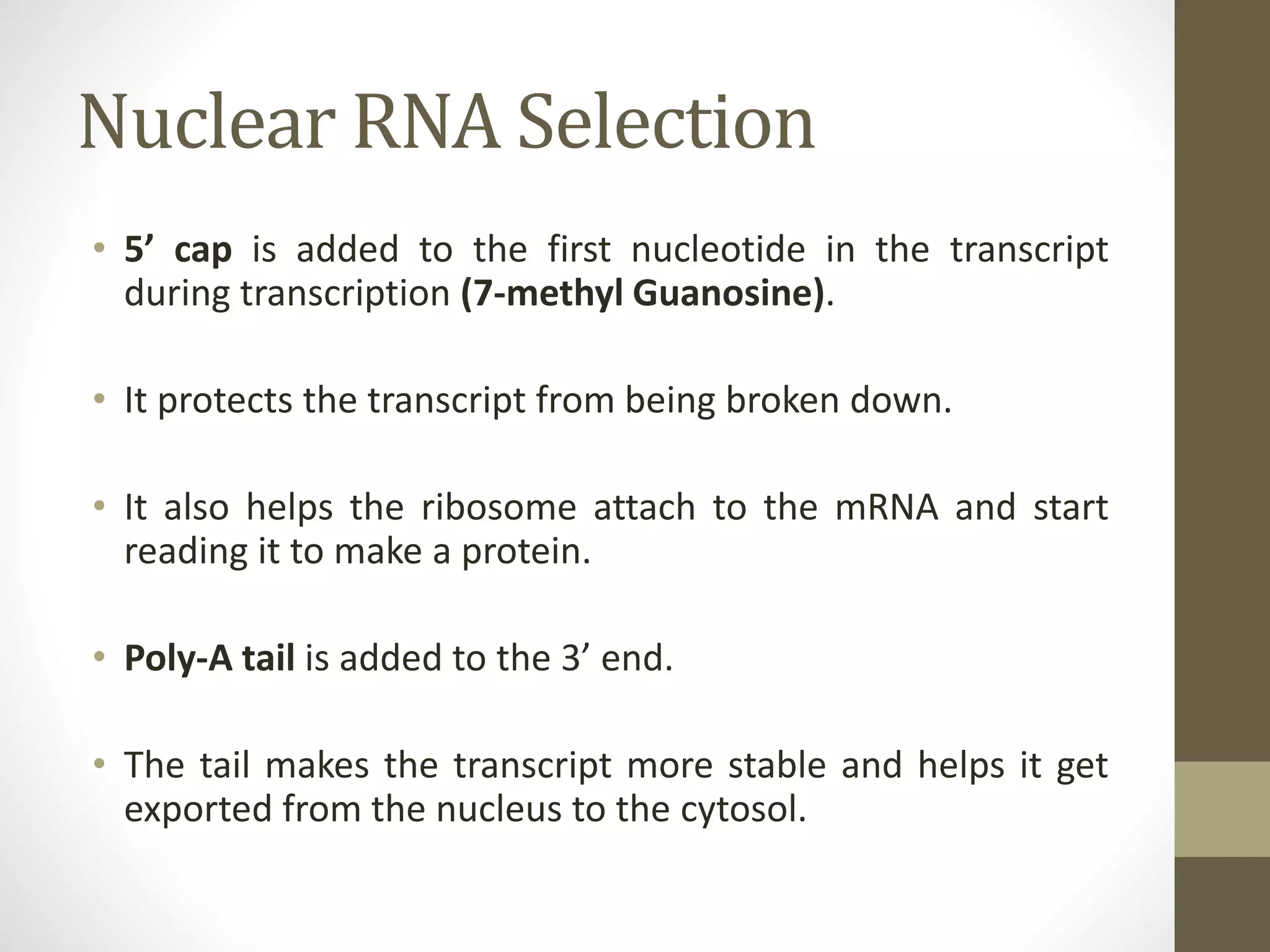 Differential RNA Processing & Animal Development | PDF