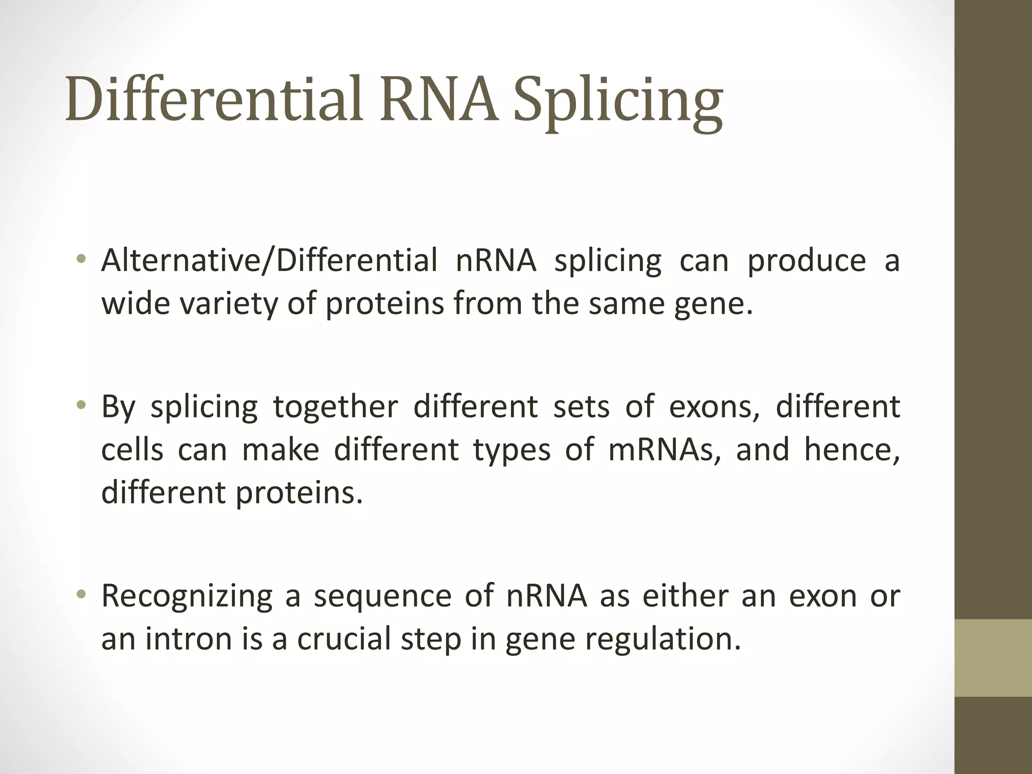 Differential RNA Processing & Animal Development | PDF
