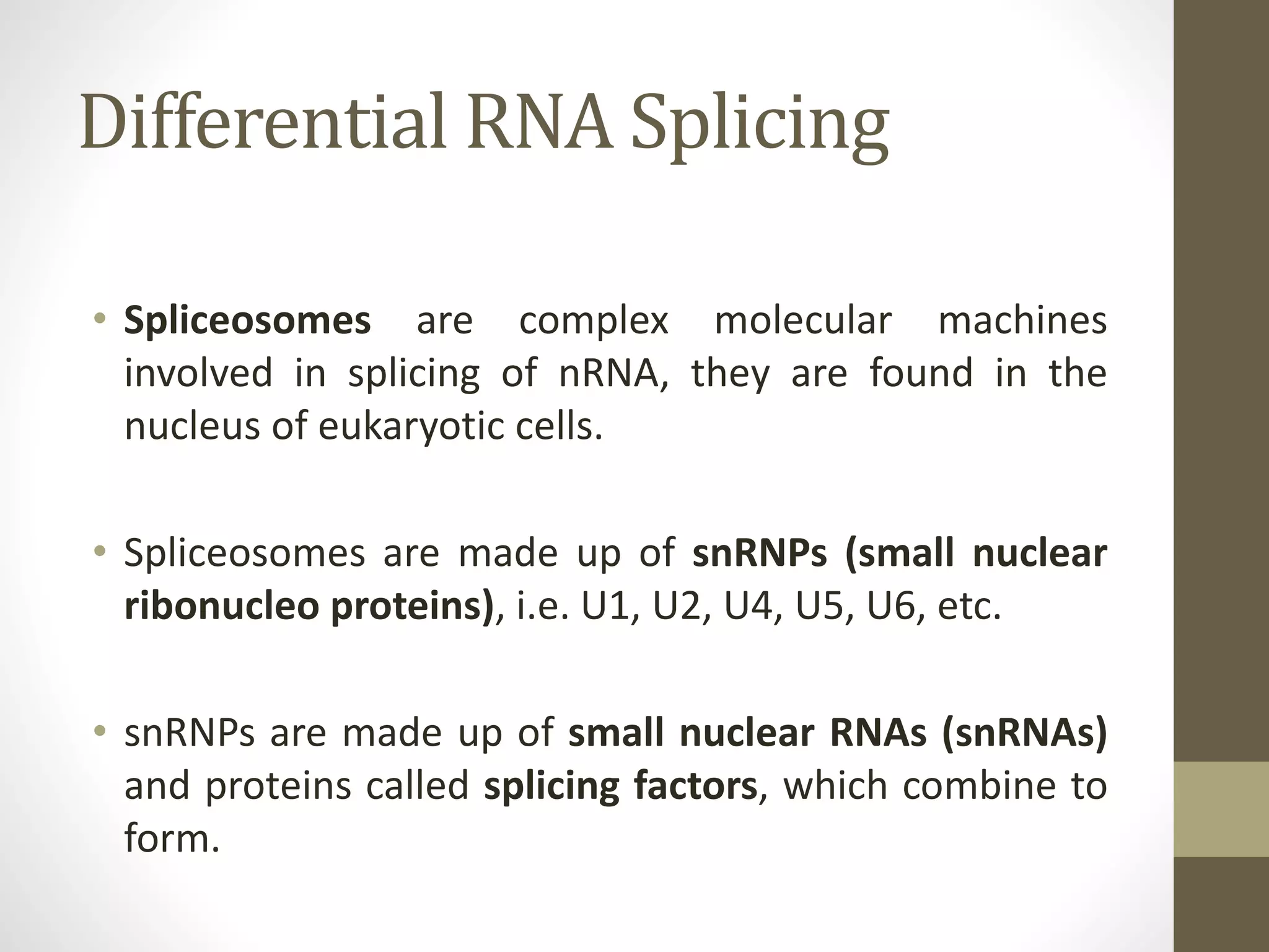 Differential RNA Processing & Animal Development | PDF