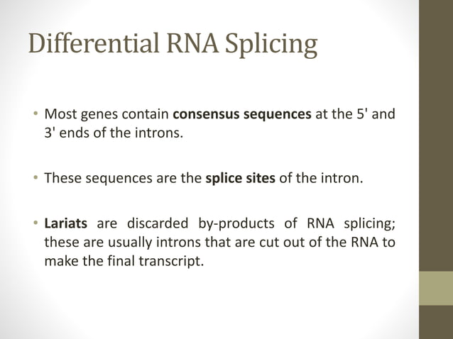 Differential RNA Processing & Animal Development | PPT