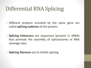 Differential RNA Processing & Animal Development | PDF