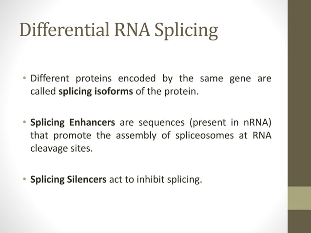 Differential RNA Processing & Animal Development | PPT
