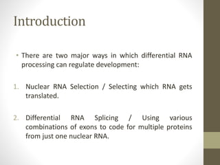 Differential RNA Processing & Animal Development | PDF