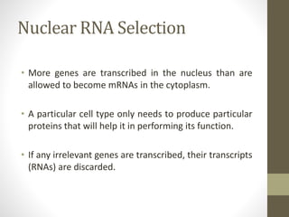 Differential RNA Processing & Animal Development | PDF