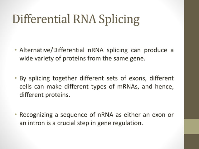 Differential RNA Processing & Animal Development | PPT