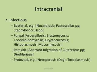 Differential Seizures - Small Animal Medicine | PDF