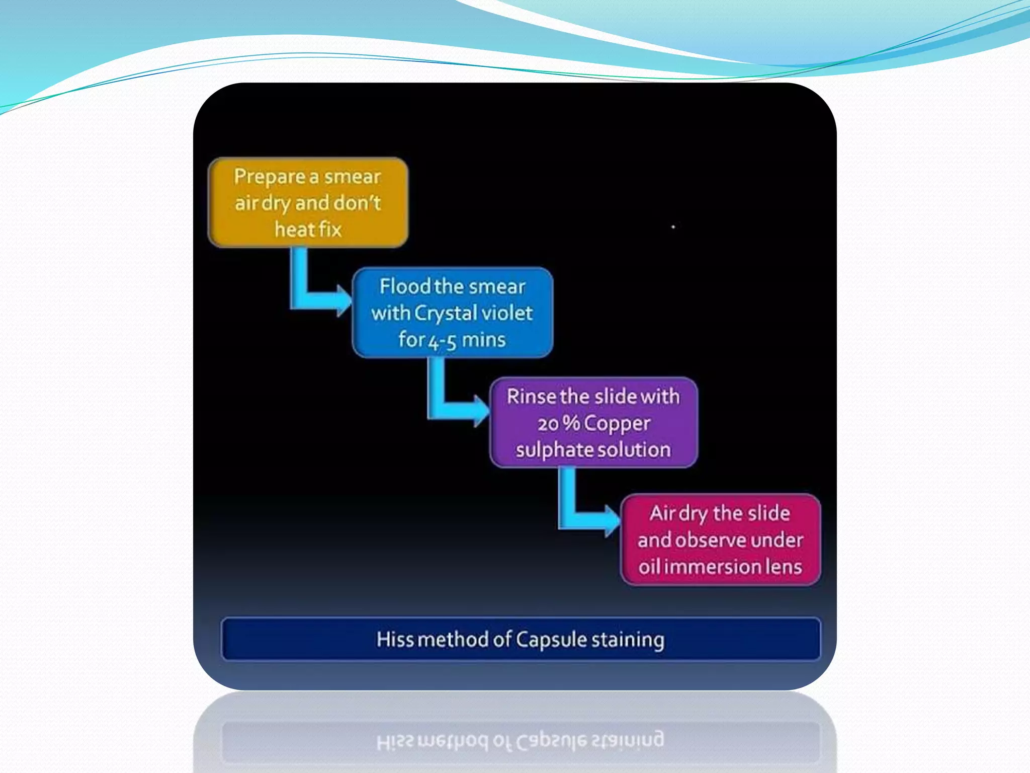 Differential staining | PPTX