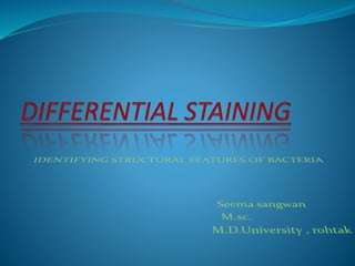 Differential staining | PPTX
