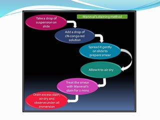 Differential staining | PPTX