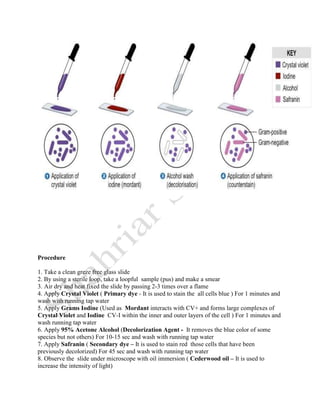 Differential staining | PDF