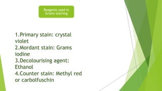 Differential staining . Types of staining | PPTX