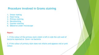 Differential staining . Types of staining | PPTX