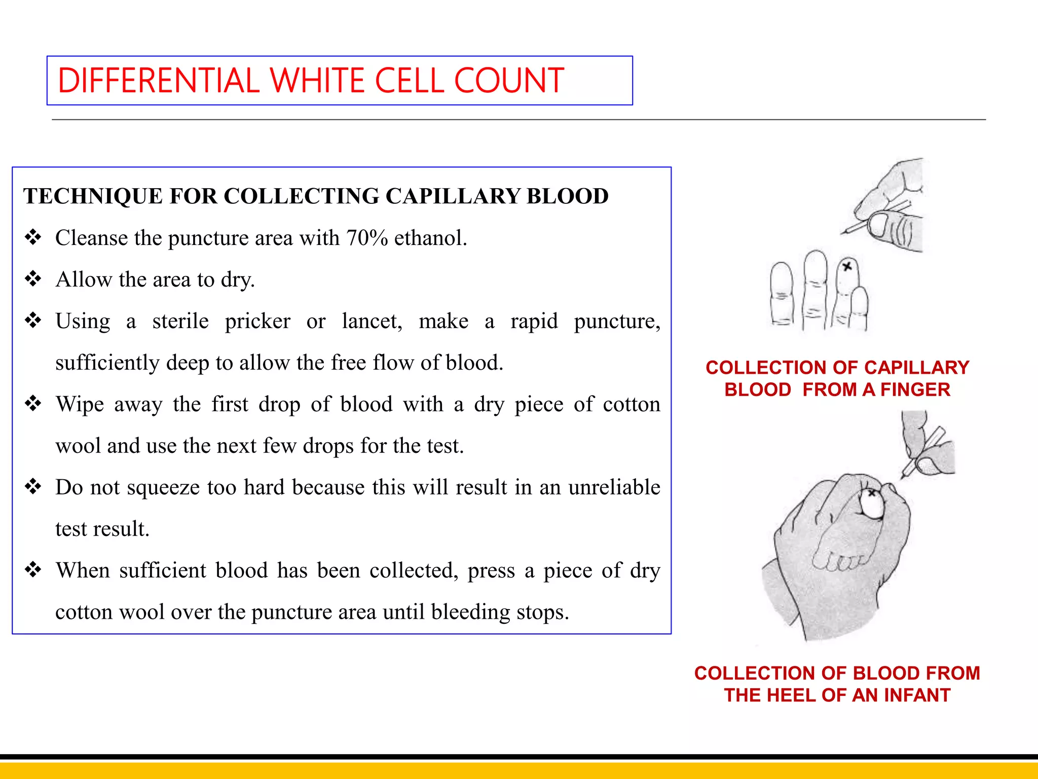 Differential WBC Count | PPTX