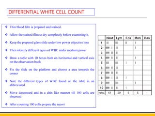 Differential WBC Count | PPTX