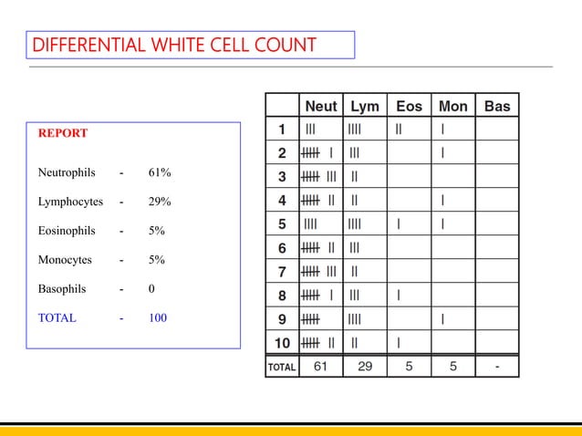 Differential WBC Count | PPTX | Blood Disorders | Diseases and Conditions