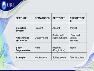 DIFFERENTIATE BETWEEN MAJOR HELMINTH CLASSES.pptx