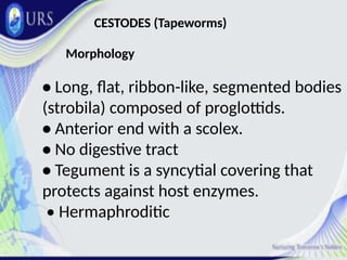 DIFFERENTIATE BETWEEN MAJOR HELMINTH CLASSES.pptx