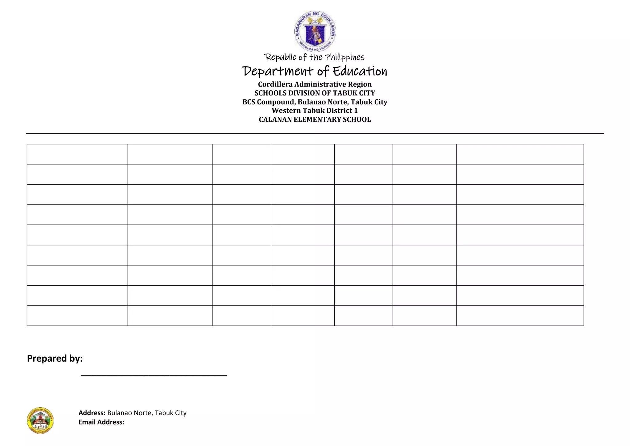 Differentiated-IS-Plan (1).docx