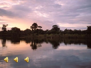 Differentiated instruction lpb | PPT