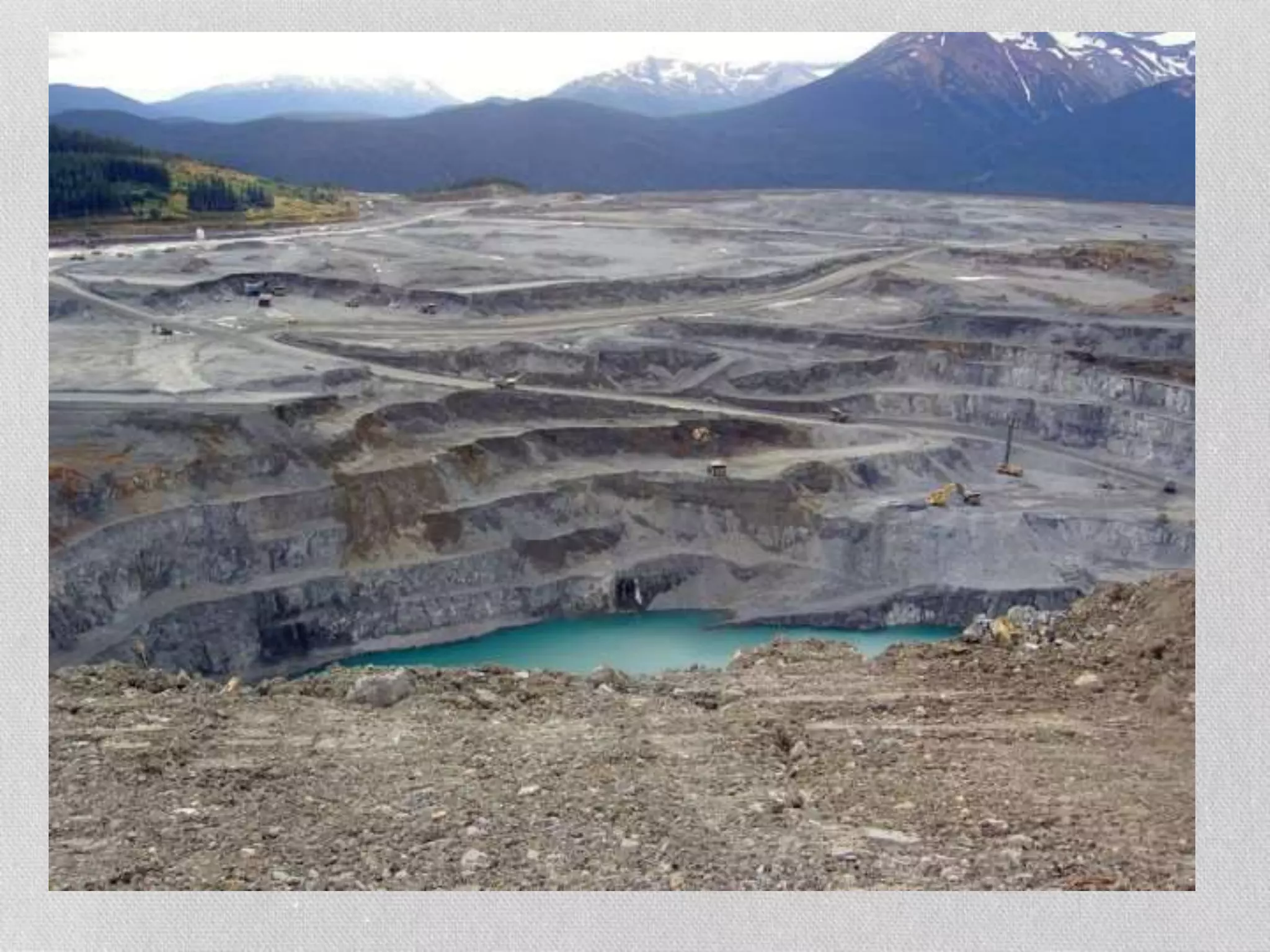 Differentiated Structures Oct 16 | PPTX