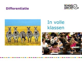 Differentiatie in volle klassen, Bert de Vos | PPT