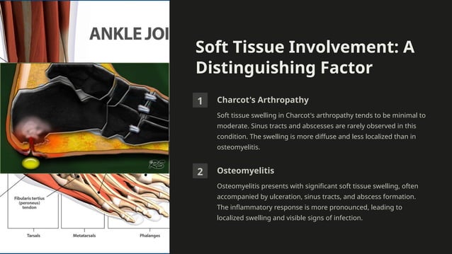 Differentiating-Charcots-Arthropathy-from-Osteomyelitis PPT.pptx | Foot ...