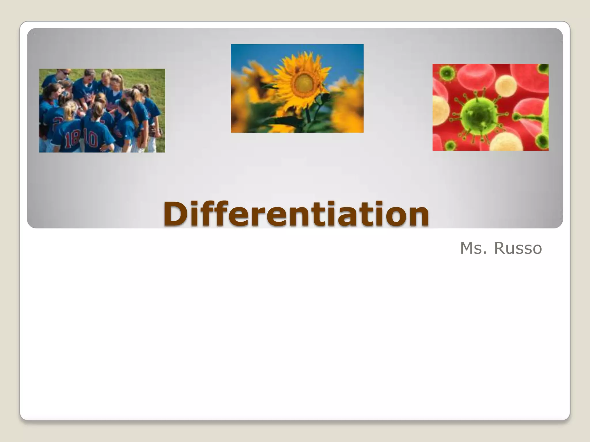 Differentiation | PPTX