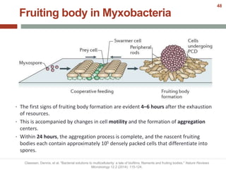 Bacterial Cell Differentiation | PPTX