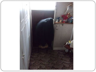 Differentiation - copy 2 | PPTX