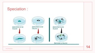 differentiation .pptx | Biological Sciences | Science