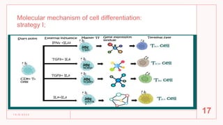 Differentiation Pptx Biological Sciences Science