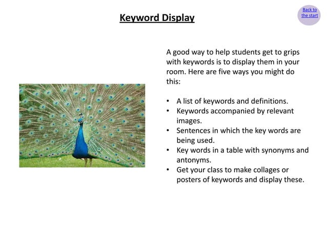 Differentiation deviser[1] | PPTX | Homework and Study | Education